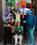 Awesome Inside Out Family Costume
