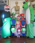 Super Mario Family - Costume Works