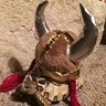 Alien from Outerspace and Viking Ready for Battle Tortoises Costumes ...