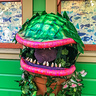 Audrey II Costume | Last Minute Costume Ideas