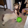 Baby Centaur - DIY Halloween Costume