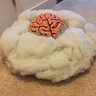 Brainstorm Costume | DIY Instructions