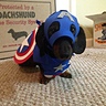 Captain America Dog Halloween Costume