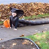 Cobra Costume