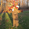 Fall Tree Costume | Unique DIY Costumes