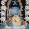 Elsa from Frozen Dog Costume - Photo 4/4