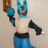 Lucario Pokemon Costume for Boys
