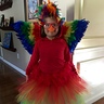 Homemade Parrot Costume for Girl