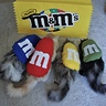 Peanut M&M's Cats Costume | Creative DIY Costumes