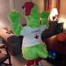 Homemade Phillie Phanatic Costume