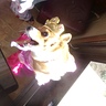 Pretty Princess Dog Costume | Affordable Halloween Costumes