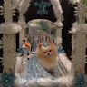 Elsa from Frozen Dog Costume