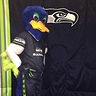 Seattle Seahawks Mascot Blitz Costume