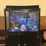 Spooky Fish Tank Costume