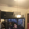 Spooky Fish Tank Costume