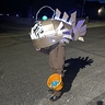 The Angler Fish Costume