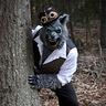 Steampunk Big Bad Wolf Costume