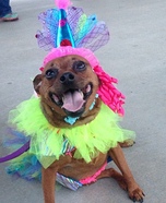 Homemade Costumes for Pets - Costume Works (page 45/71)